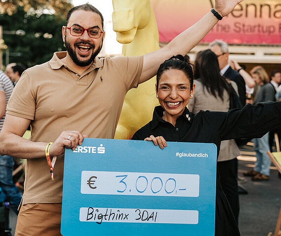 Vienna Startup Package
